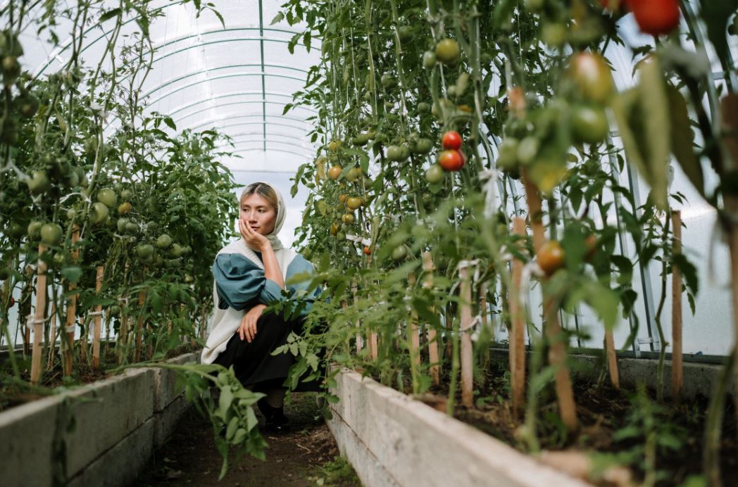 Bauen & Technik - Alles rund um das Herstellen von Dingen aller Art.